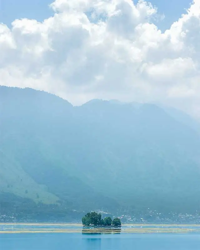 Char Chinar