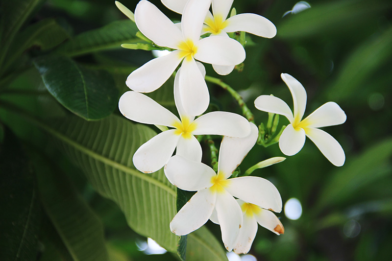 Download Free Photos, GIF, PSD, Vector, PPT on FreeWebStock